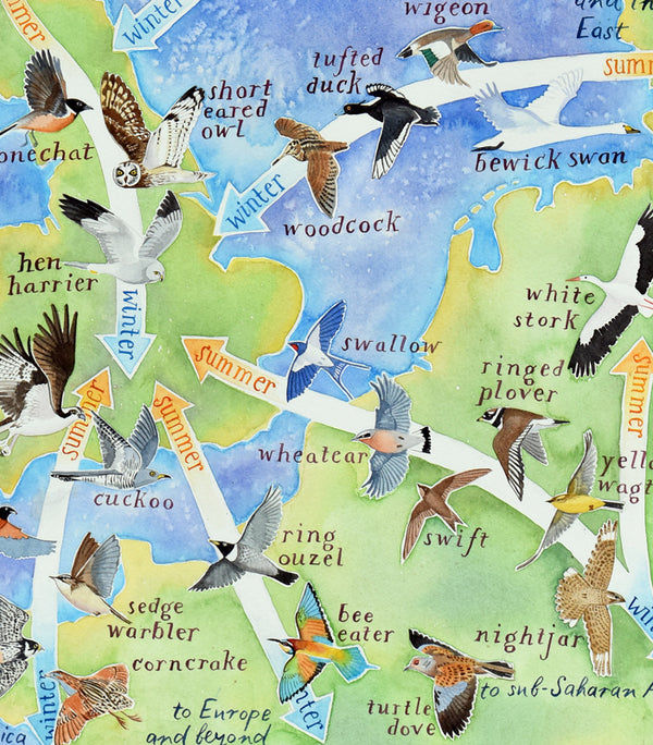Map of where UK birds migrate to