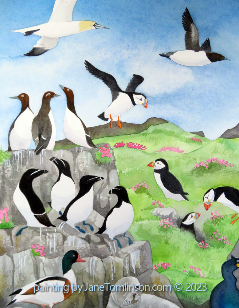 Seabird Spectacular!